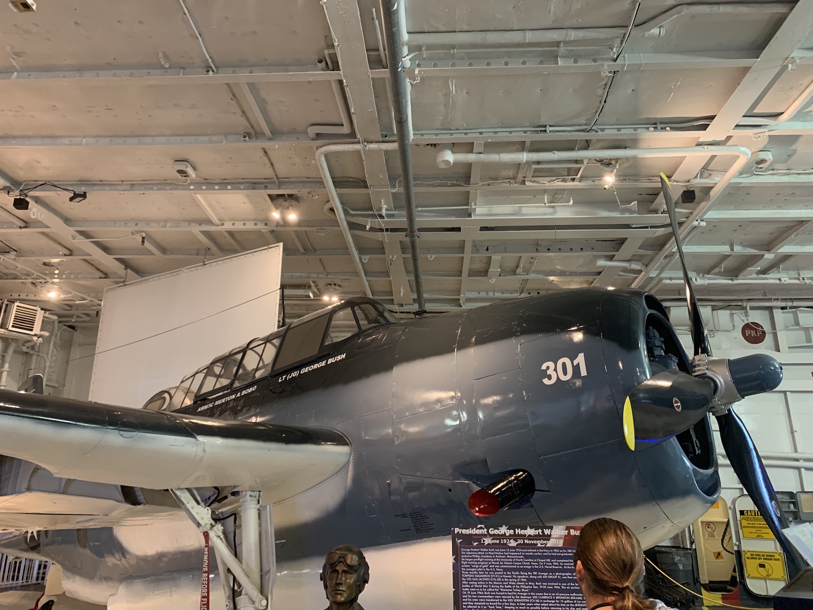 The mind of David DeMartini