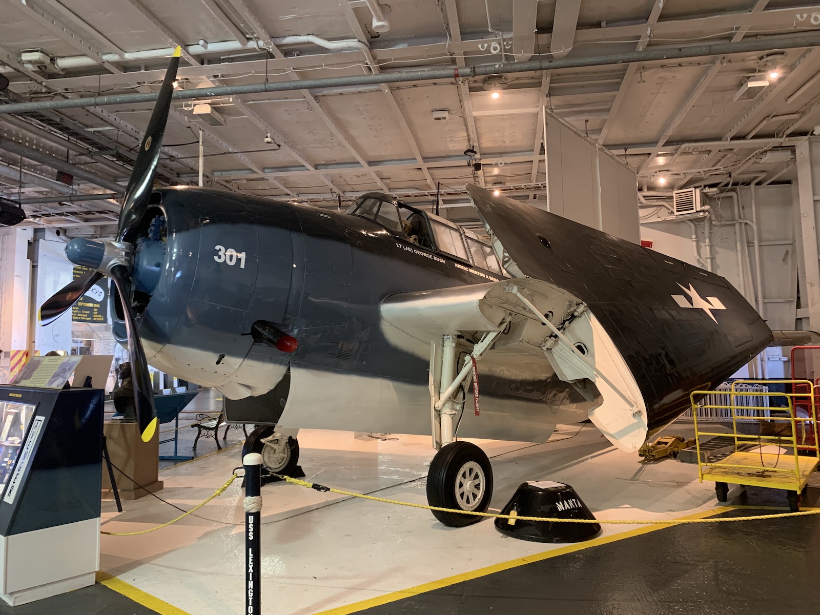 The mind of David DeMartini