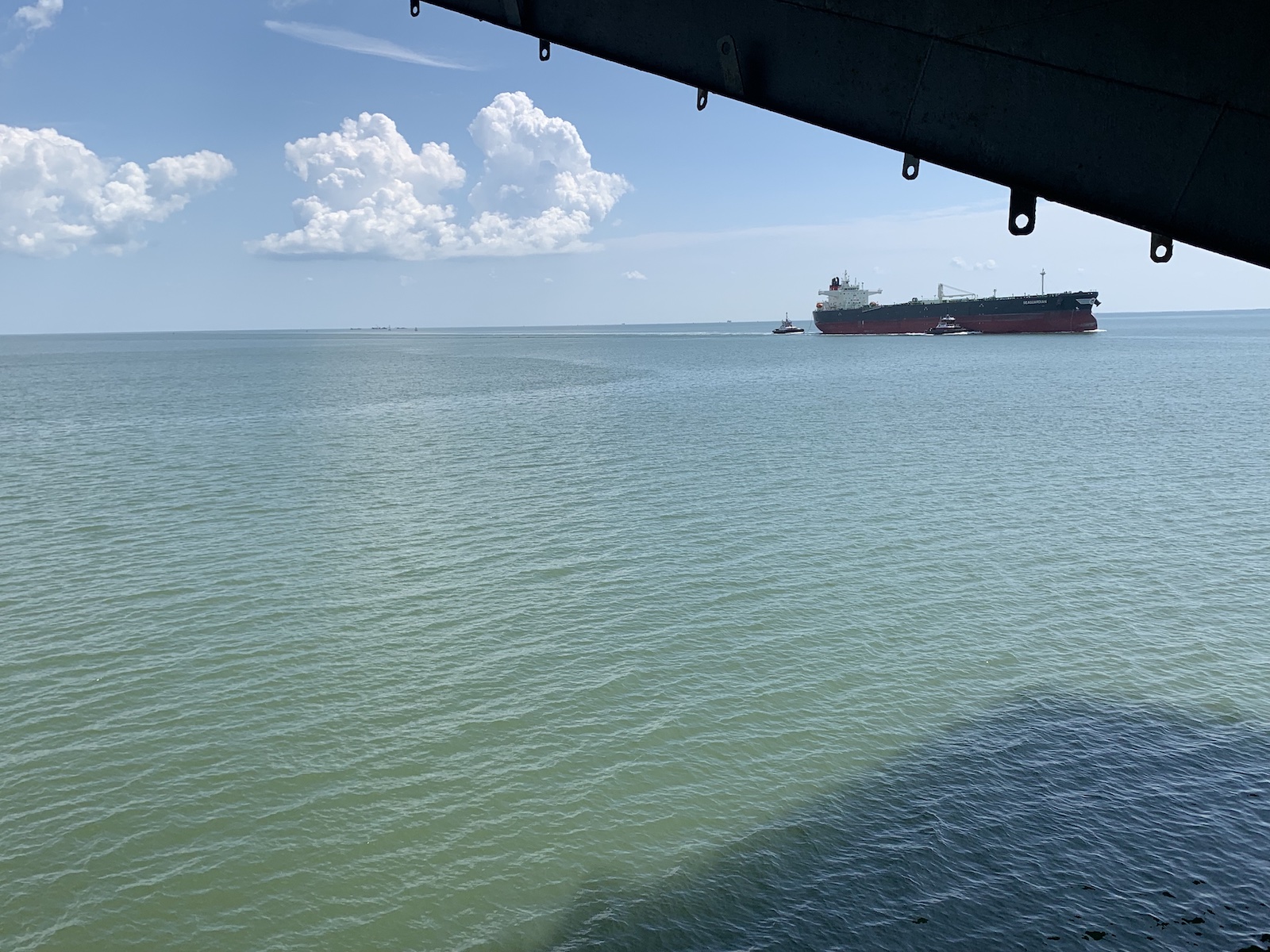 The mind of David DeMartini