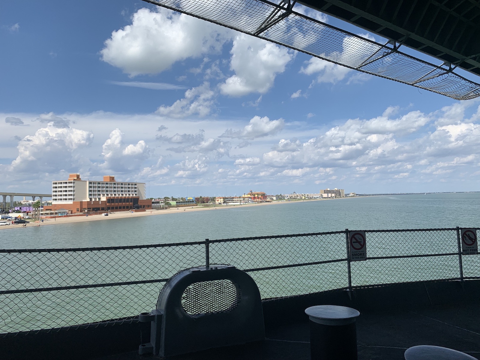 The mind of David DeMartini