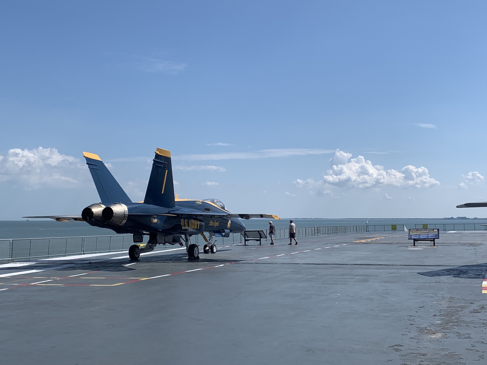 The mind of David DeMartini