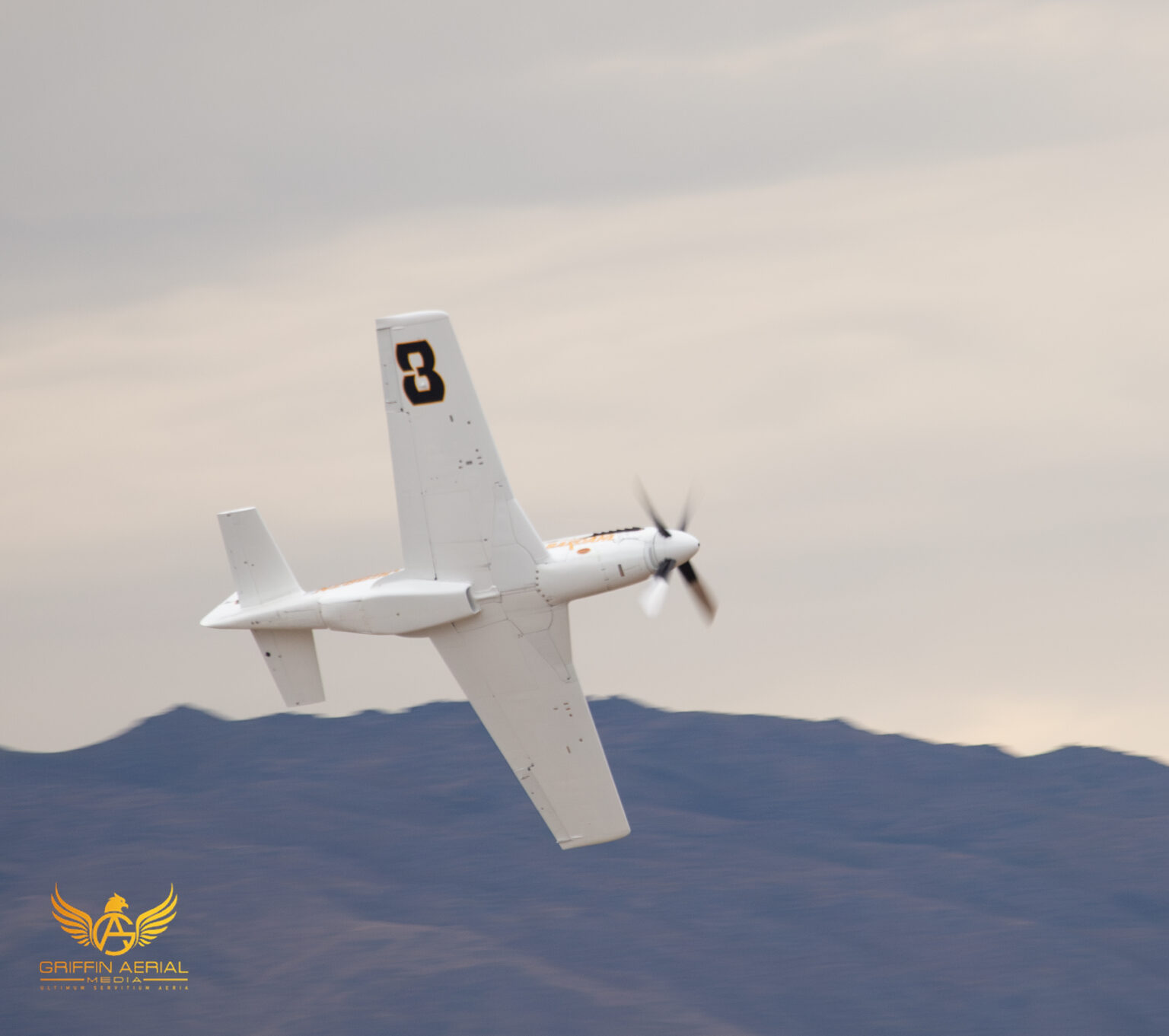 The mind of David DeMartini